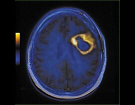Integrated Registration | GE HealthCare (Korea)
